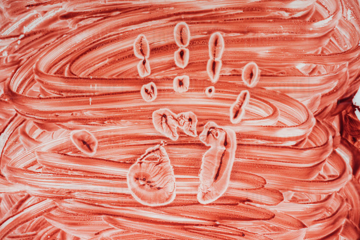 top view of smeared blood texture with hand print for background ...