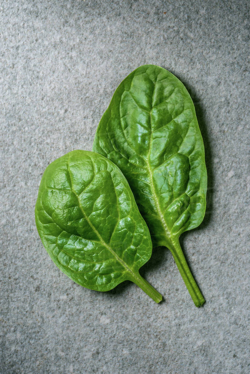 top view of wet spinach leaves with water drops - Royalty-free Stock ...