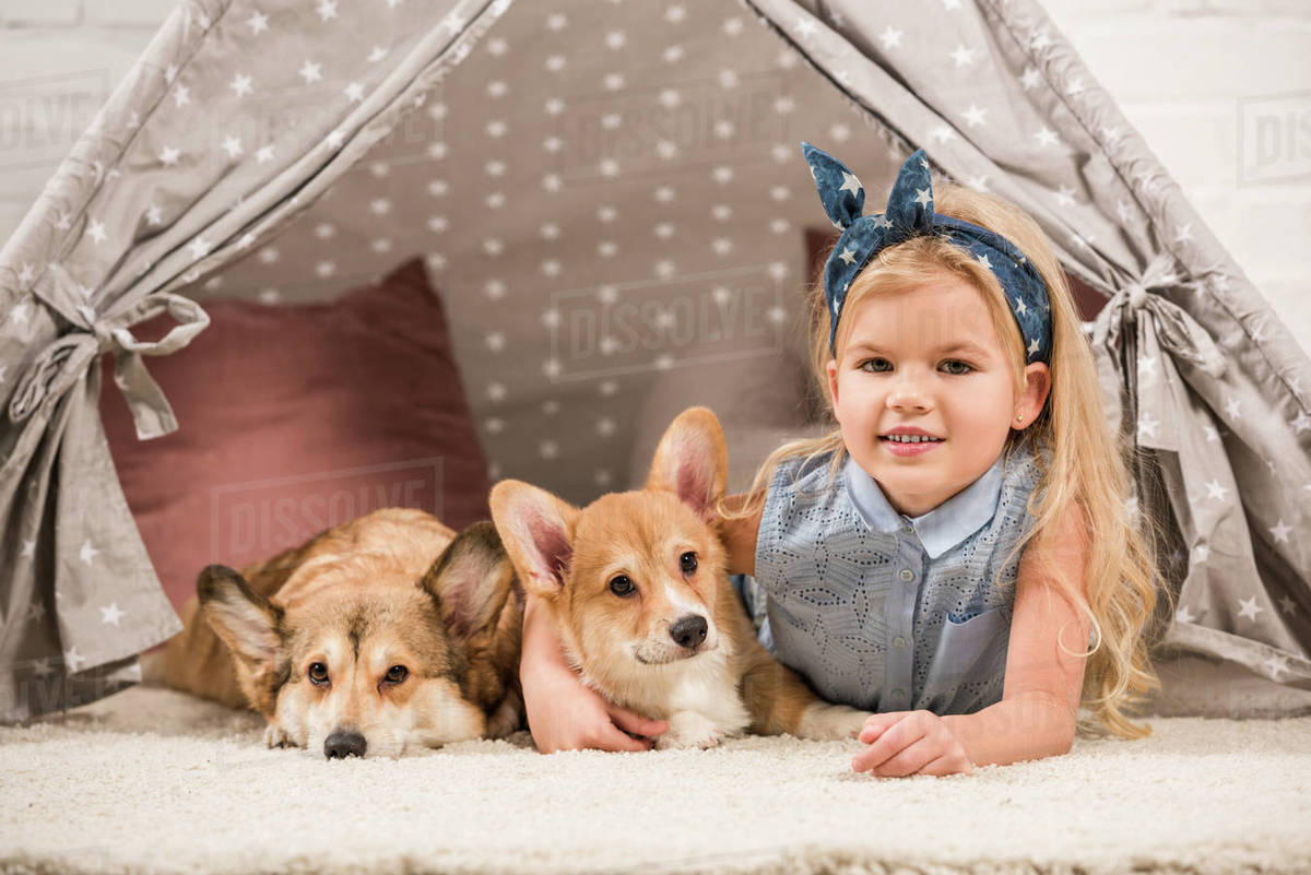 Cute child with welsh corgi dogs lying in wigwam and looking at camera ...