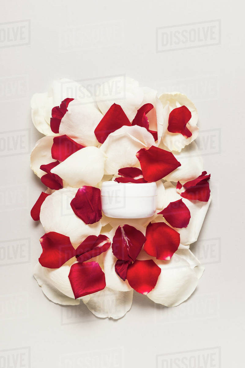 Cream in plastic container on white and red rose petals, isolated on ...