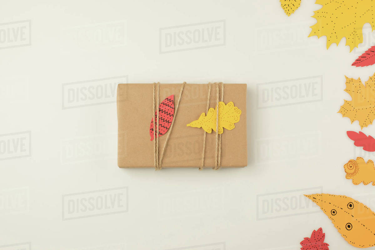 Flat lay with autumn gift box with handmade paper leaves isolated on ...
