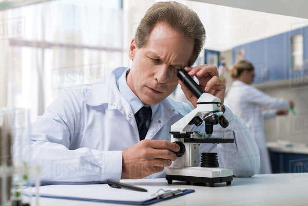 Concentrated scientist in white coat looking into the microscope in ...