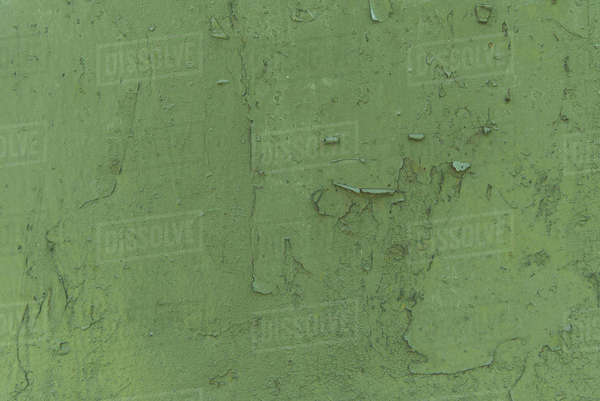 old green weathered wall textured background - Royalty-free Stock Photo ...