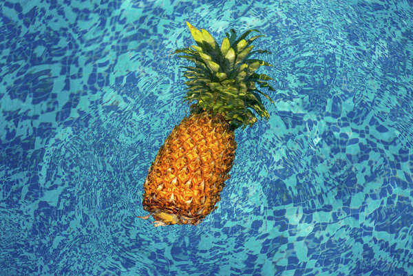 Pineapple floating in blue water of swimming pool - Stock Photo - Dissolve