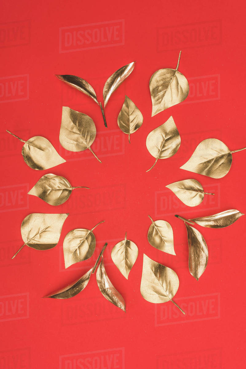 Top view of arranged in circle golden leaves isolated on red - Royalty ...