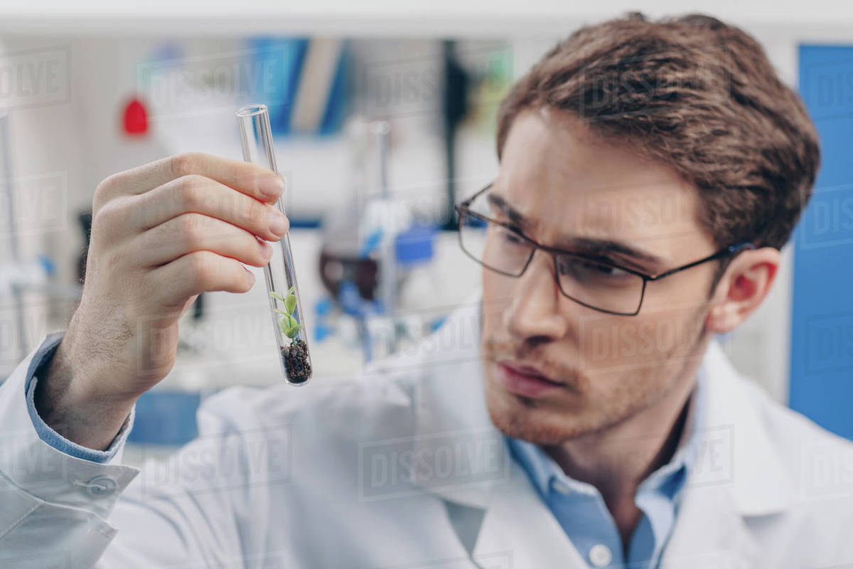 Male biologist working with plant in flask in laboratory - Royalty-free ...