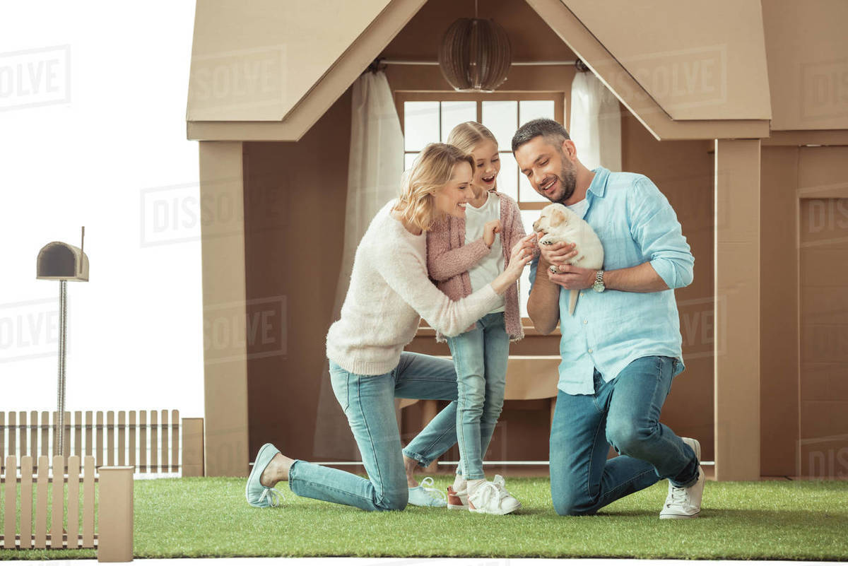 Happy family with adorable Labrador puppy in front of cardboard house ...