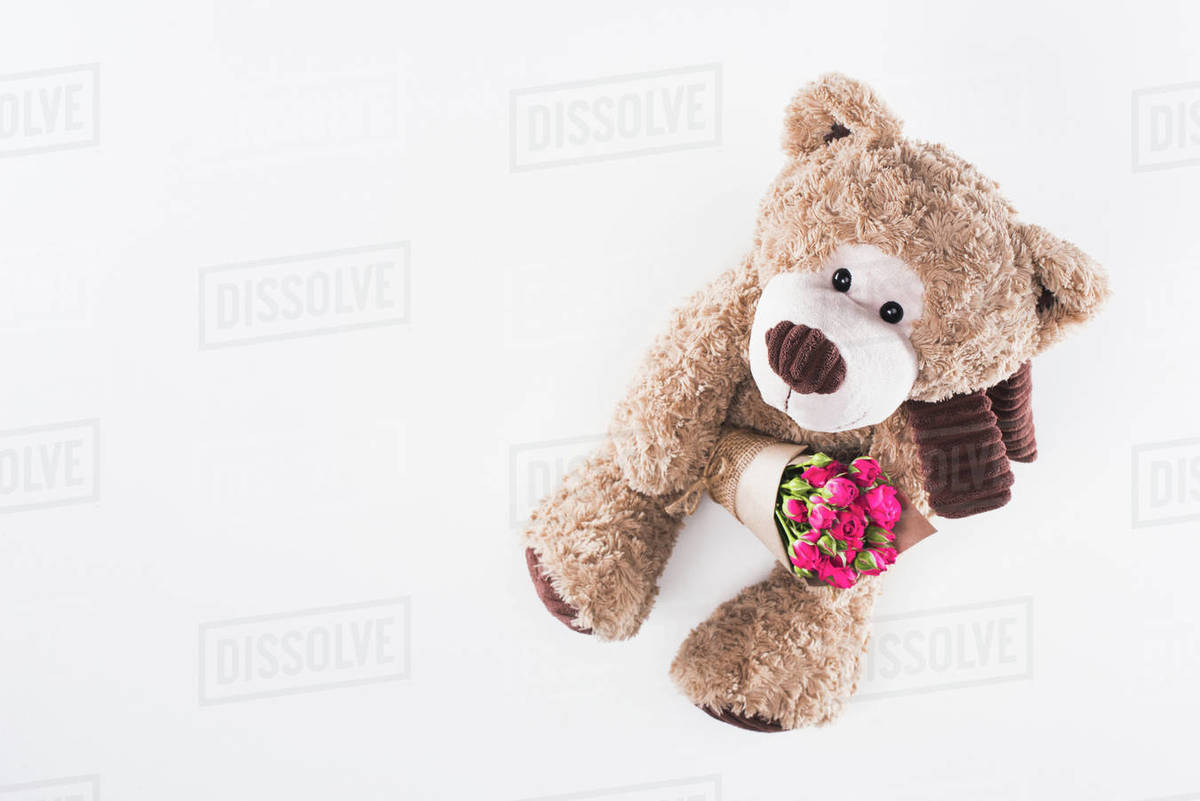 Top view of teddy bear with bouquet of pink roses isolated on white ...