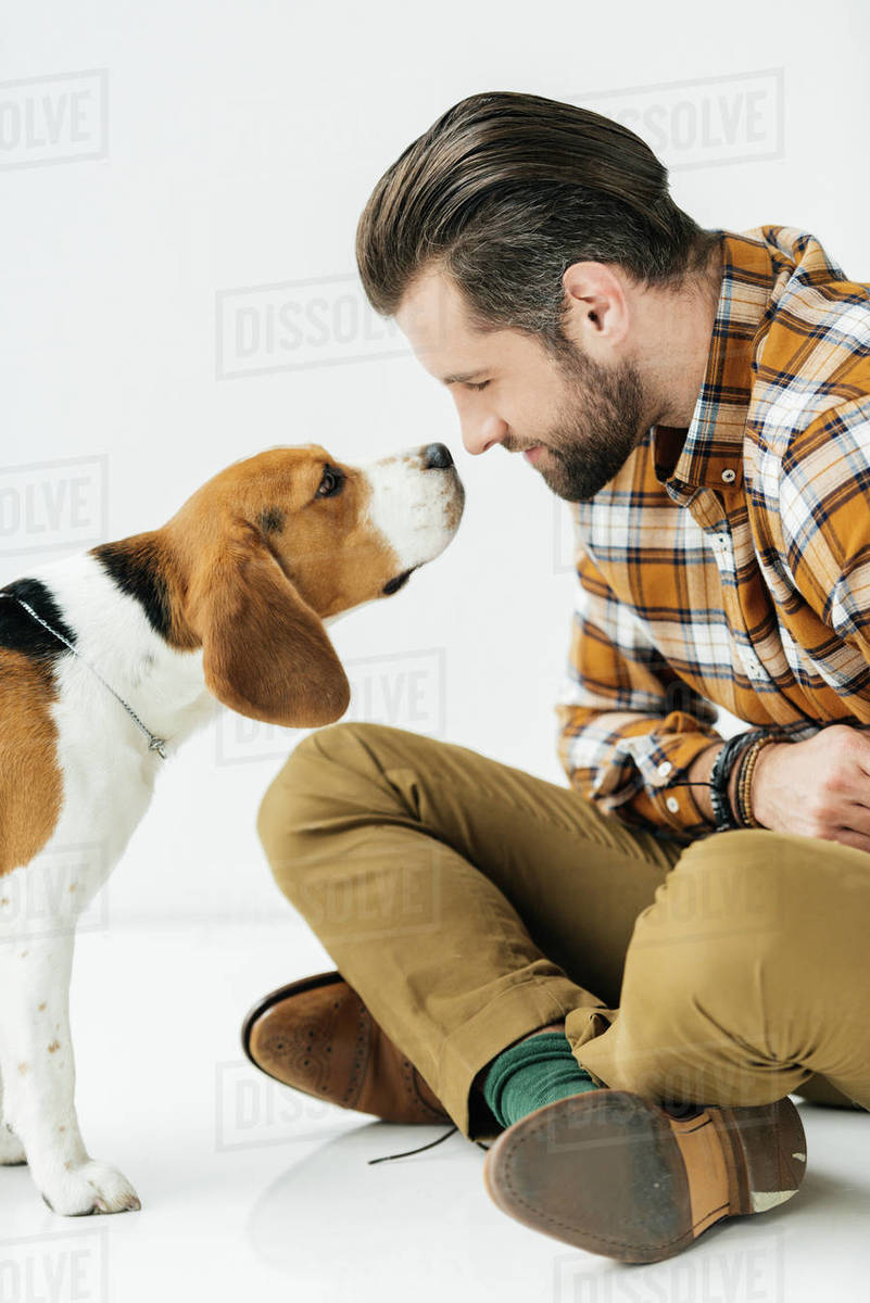 Side view of dog sniffing man nose - Stock Photo - Dissolve