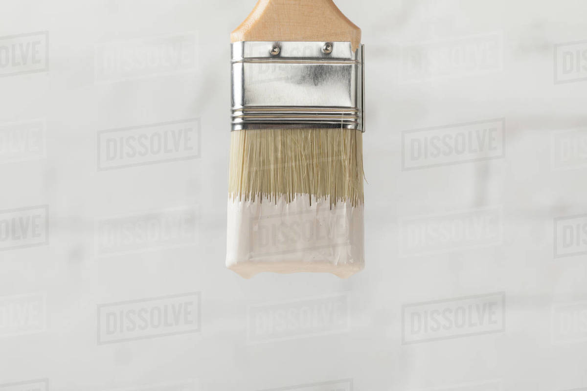 One brush in white paint on bricks wall - Stock Photo - Dissolve