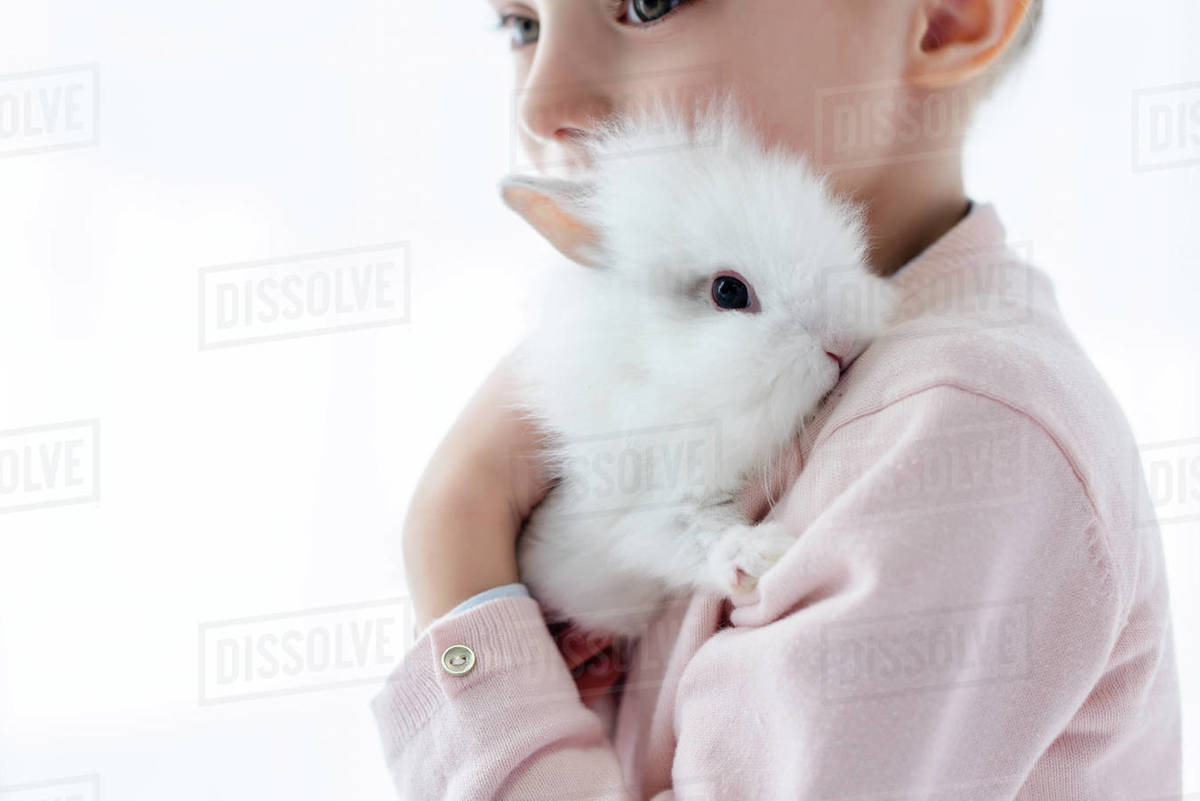 Adorable kid hugging white rabbit - Royalty-free Stock Photo | Dissolve