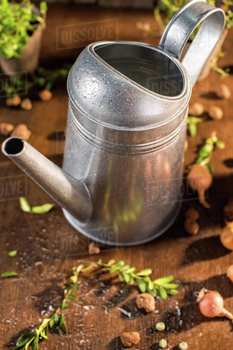 elevated view of wet watering can standing on wooden table, garden ...
