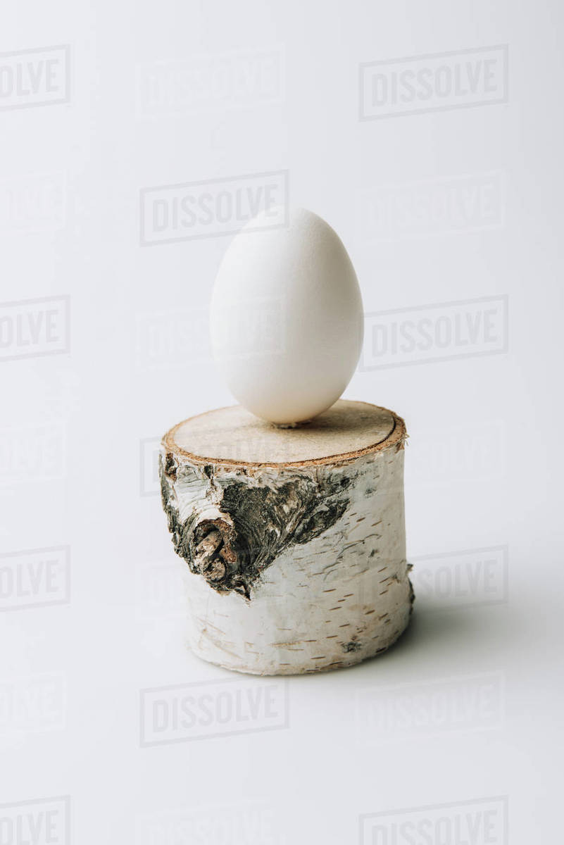White egg laying on wooden stump on white background - Stock Photo ...