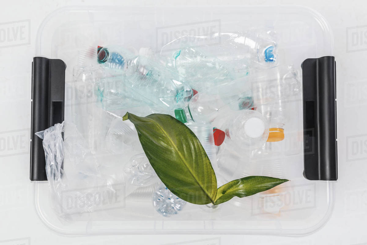 Top view of container with plastic bottles and green leaves isolated on ...