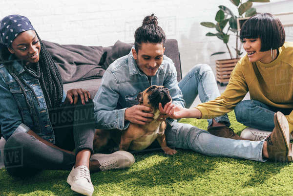 Group of smiling multiethnic friends playing with dog - Royalty-free ...