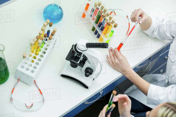 Partial view of young female scientists working with test tubes in ...