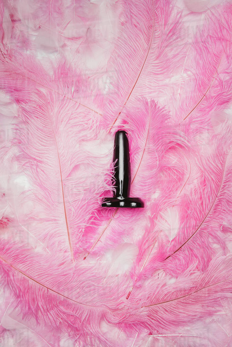 Black butt plug toy on pink feathers - Royalty-free Stock Photo | Dissolve