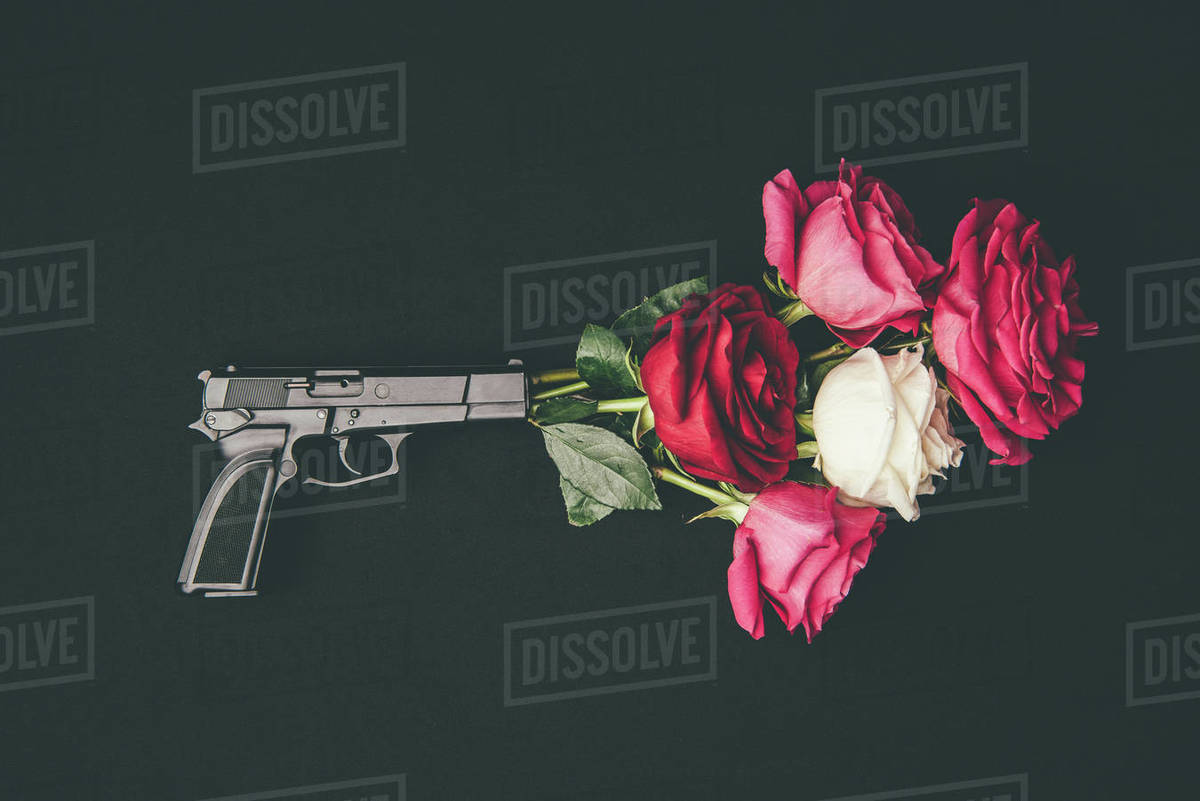 Gun shooting with bouquet of rose flowers isolated on black - Royalty ...