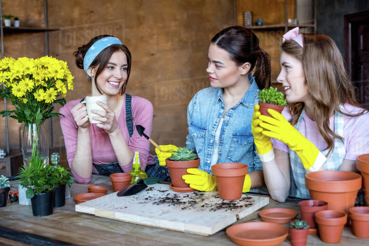cheerful young women planting flowers in pots - Royalty-free Stock ...