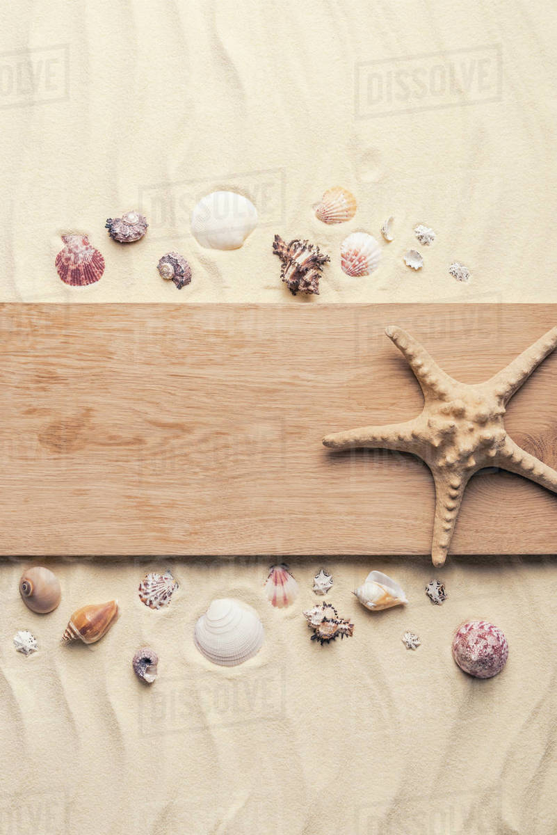 Starfish on wooden pier on sandy beach with seashells - Stock Photo ...