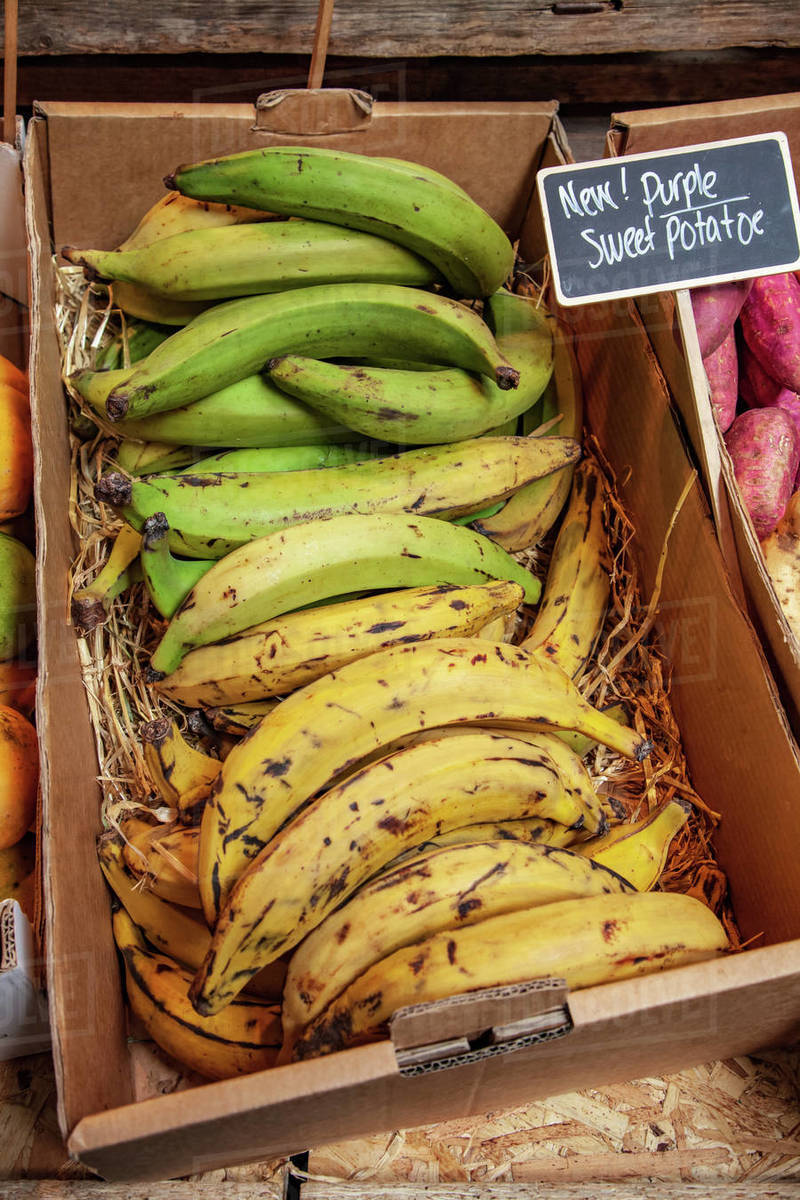 Front view of bananas in cardboard box on market place with signboard ...
