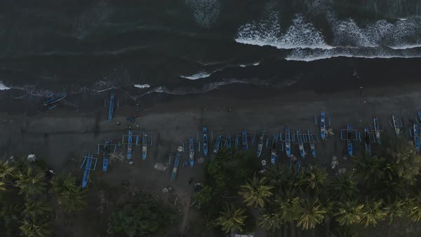 Aerial shot of a diverse coastline with cliffs, palm trees and ocean ...