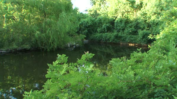 A shot of a lagoon surrounded by trees. - HD Rights-managed Stock Video ...