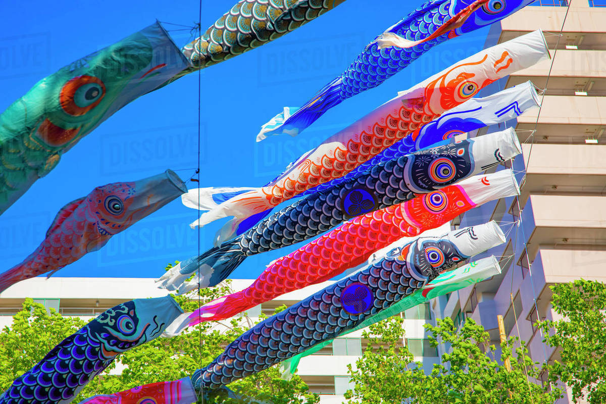 Carp streamer at the park daytime sunny. Sumida district Tokyo Japan ...
