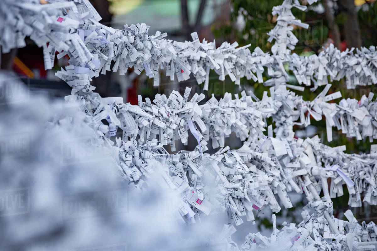 Oracles at Japanese traditional shrine. Chiyoda district Tokyo Japan ...