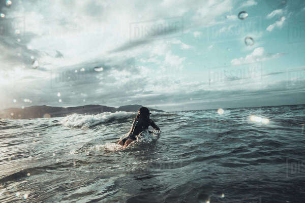 Rear view of a woman swimming in sea - Stock Photo - Dissolve