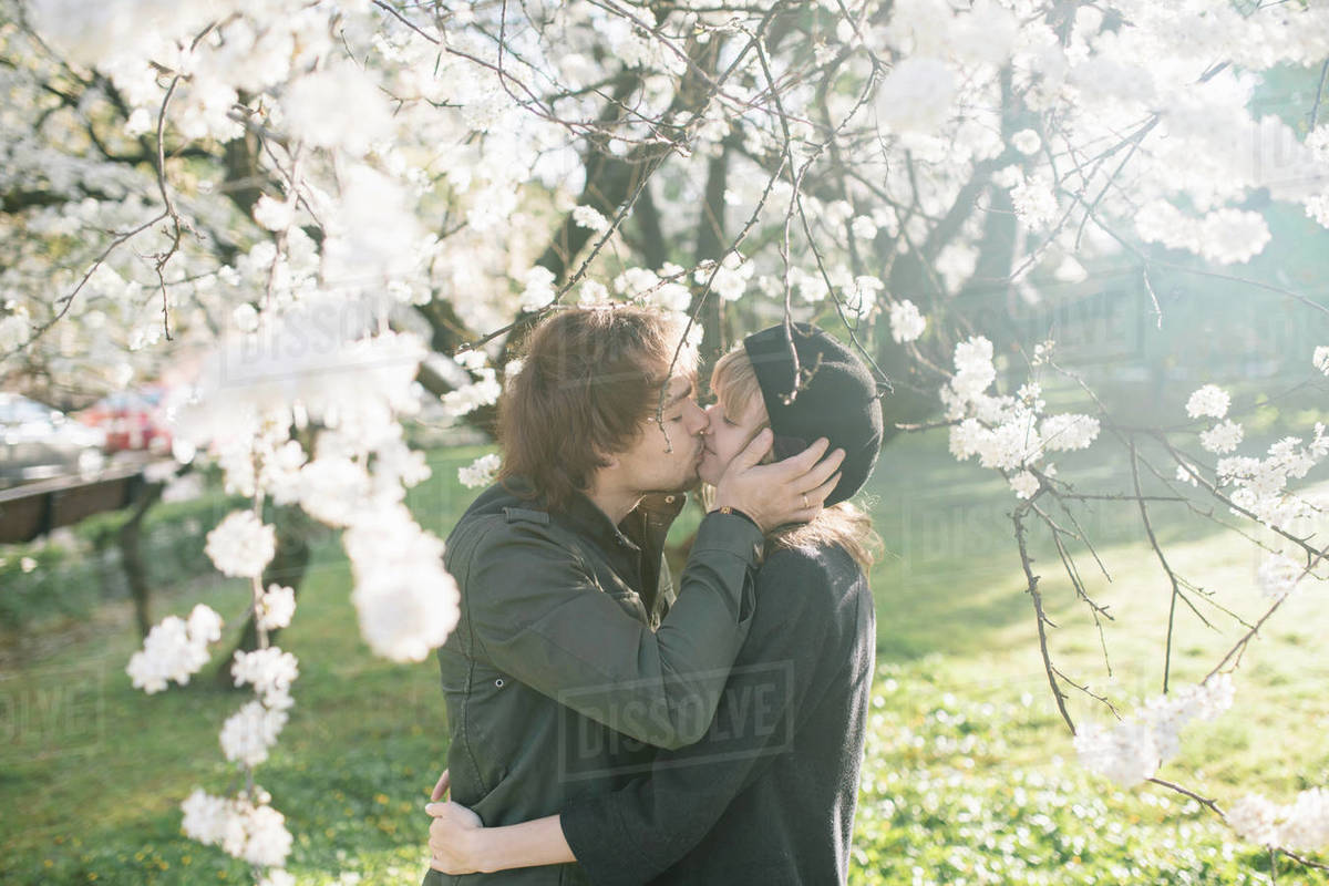 Couple standing under a cherry blossom tree in the park kissing in ...