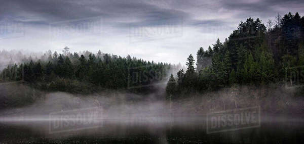 Mist over Remote forest and Lake, Malcolm Island near Vancouver Island ...