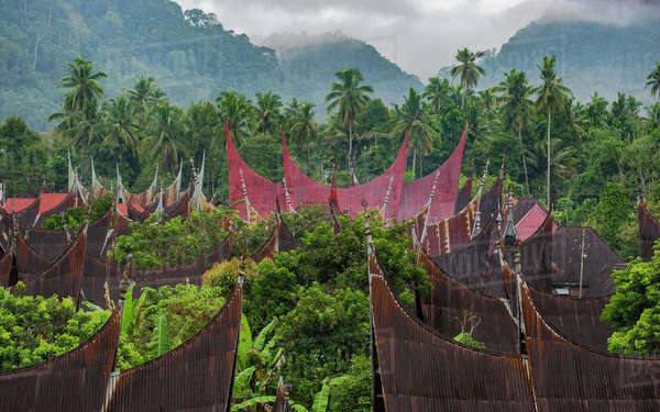 Aerial view of traditional Minang rooftops and treetops, West Sumatra ...