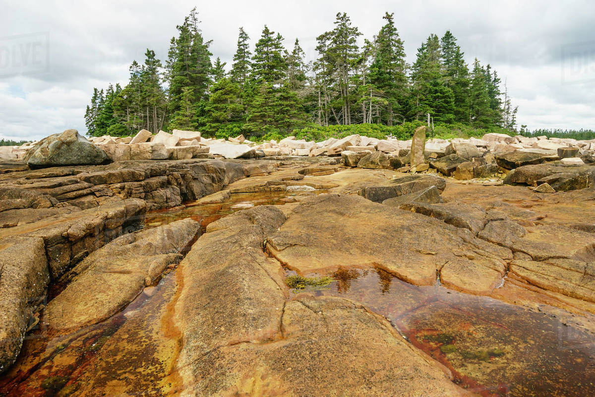 Tidal pools among granite outcrops, Acadia National Park, Maine ...