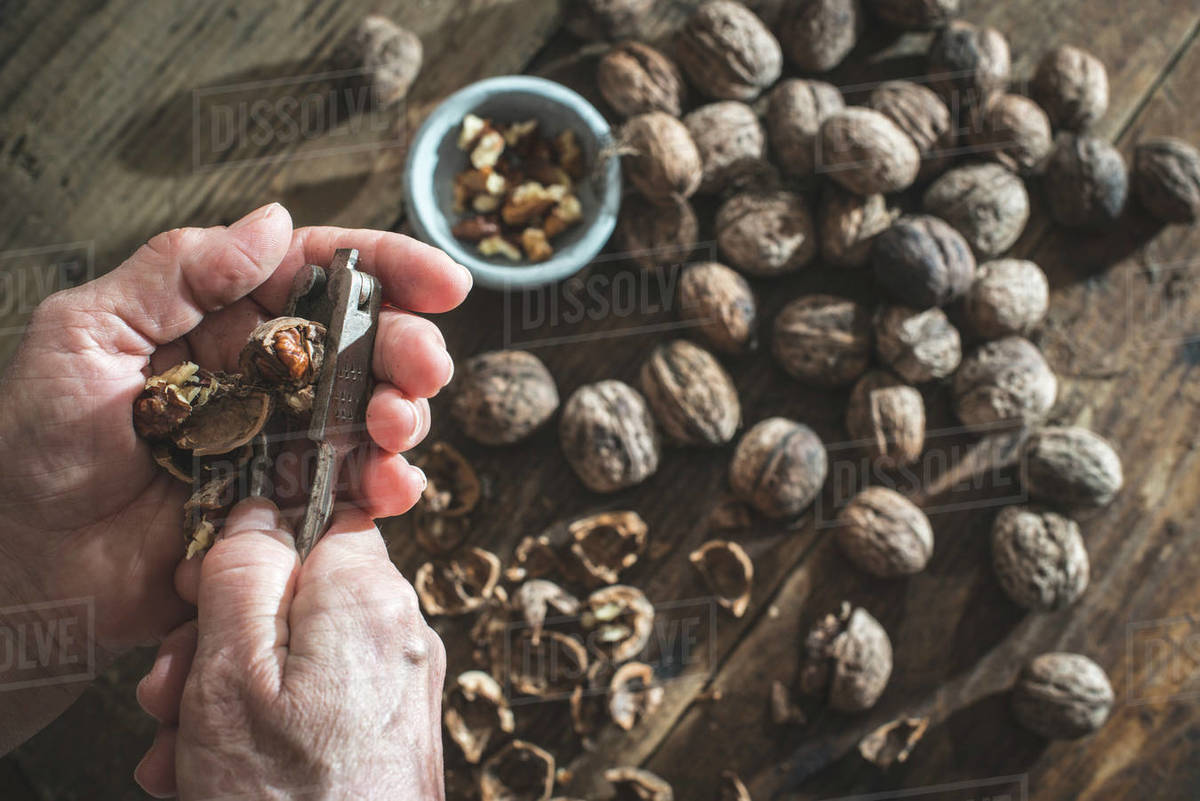 Close up of a senior woman cracking walnuts - Royalty-free Stock Photo ...