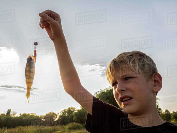 Boy holding perch fish - Royalty-free Stock Photo | Dissolve