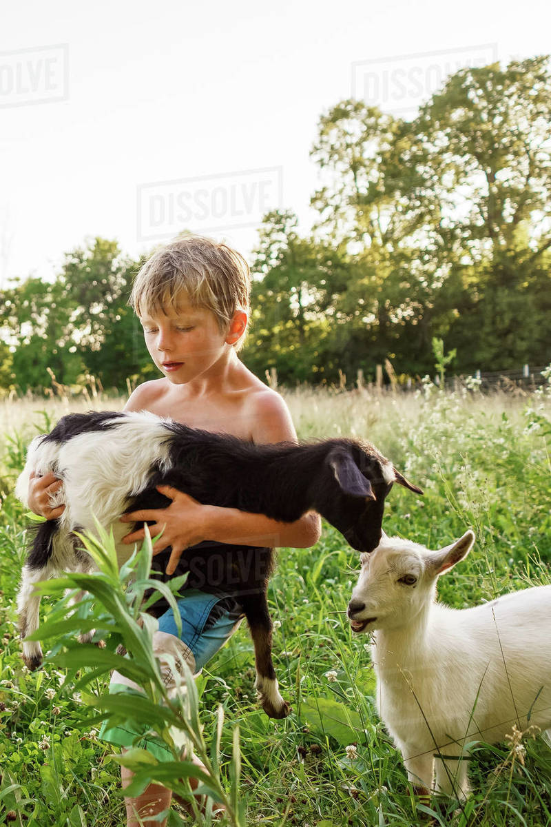 Boy carrying a goat - Royalty-free Stock Photo | Dissolve