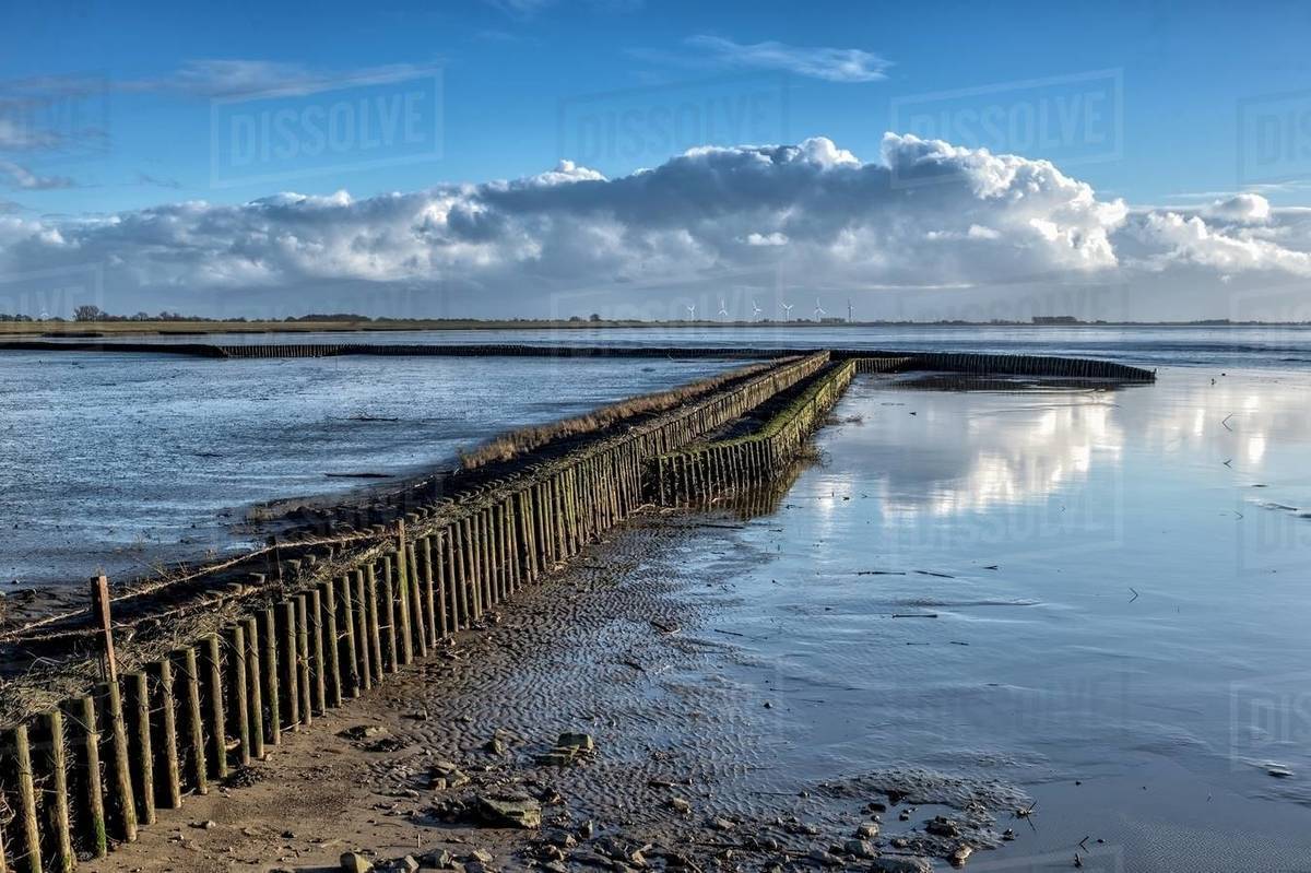 Wooden groyne on the banks of the Dollart river, Lower Saxony, Germany ...