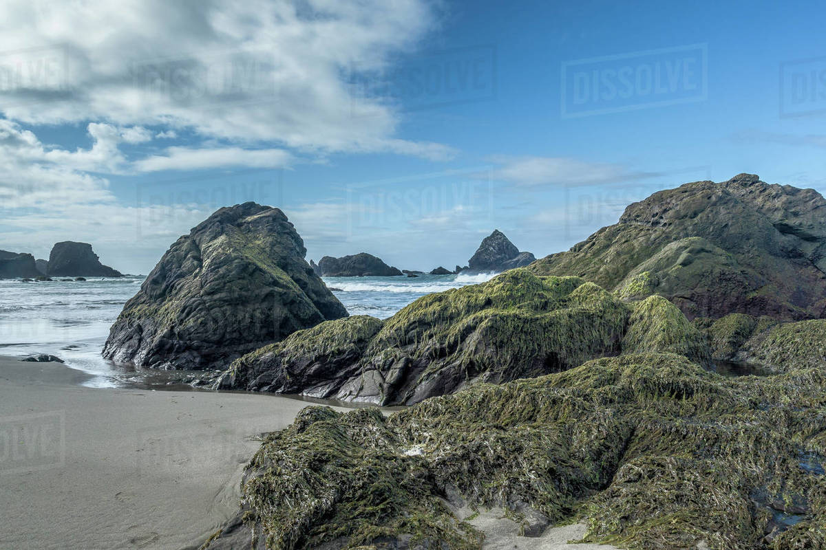 Rocky coastline and beach, Oregon, America, USA - Royalty-free Stock ...