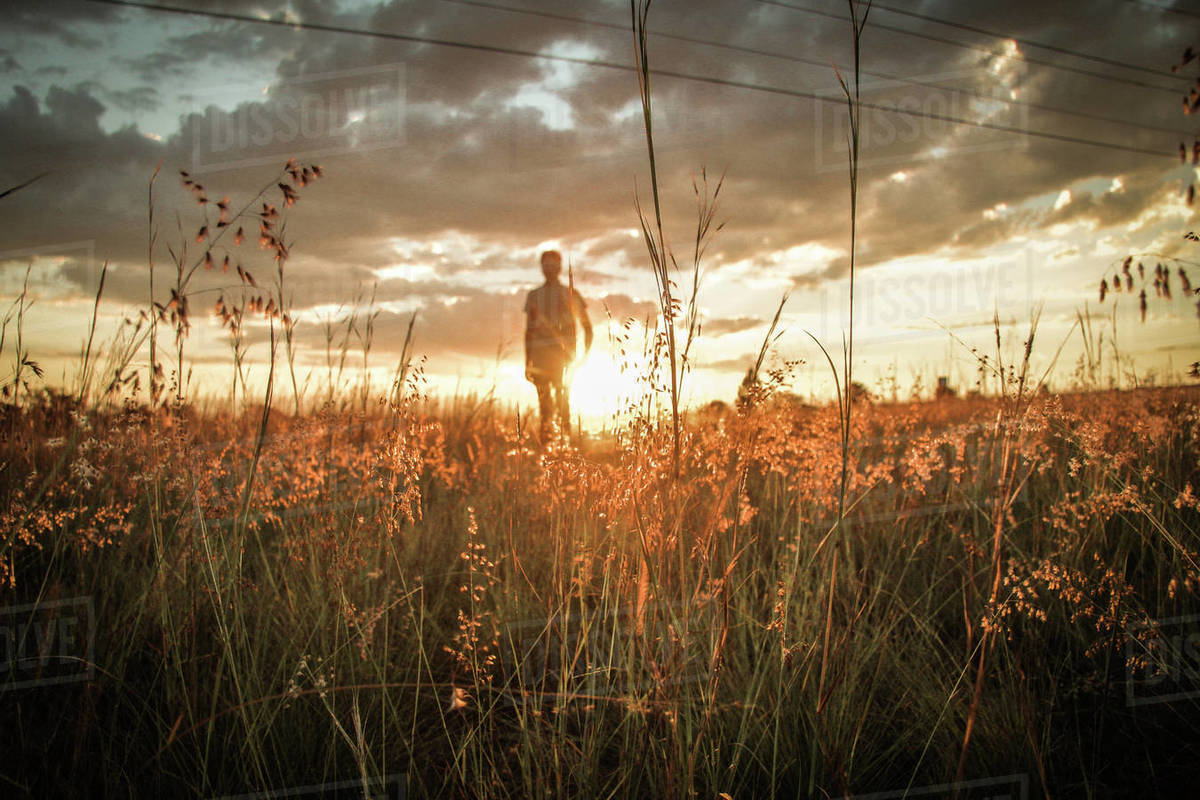 Man In Field As Sunset - Royalty-free Stock Photo | Dissolve
