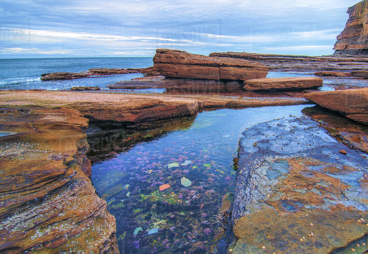 Rocky coastline and rock pool, The Skillion, Terrigal, New South Wales ...