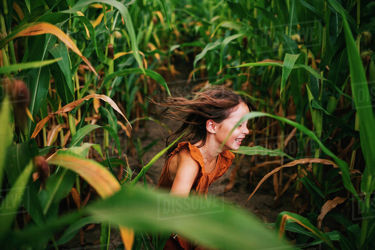 Girl running through a corn field, USA - Royalty-free Stock Photo ...