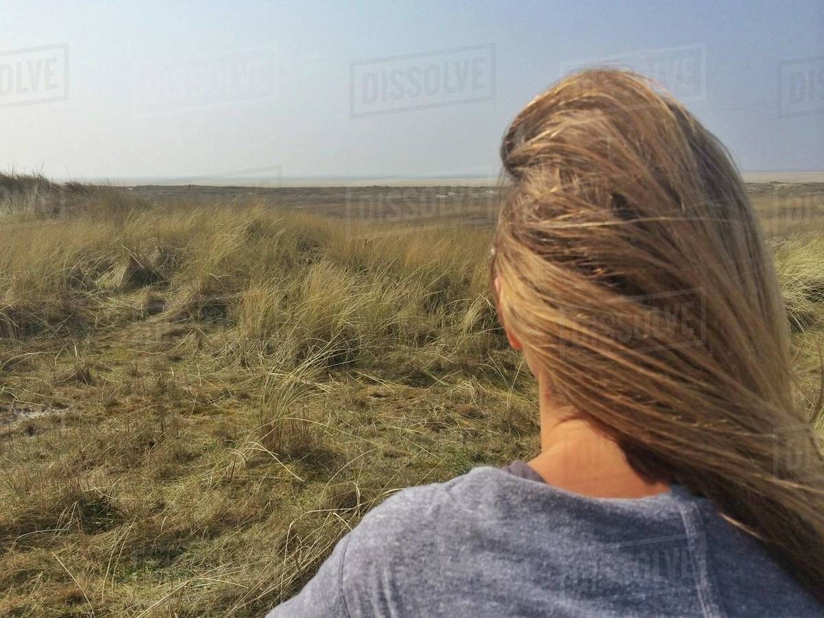 Rear view of a windswept woman sitting in sand dunes on a beach, Fanoe ...
