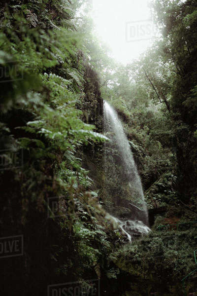 Picturesque scenery of small waterfall falling into narrow mountain ...