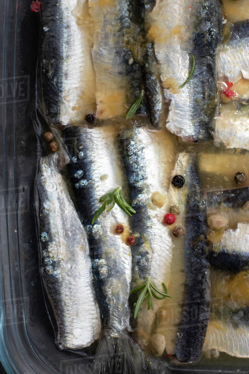 Top view of heap of delectable marinated sardine fish with aromatic ...