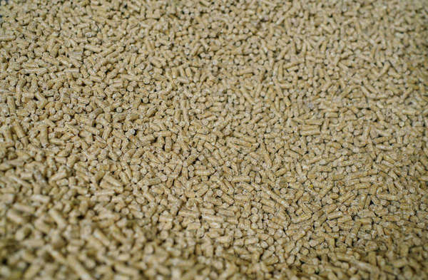 Closeup of heap of dry fresh feed for cows stored in warehouses in ...