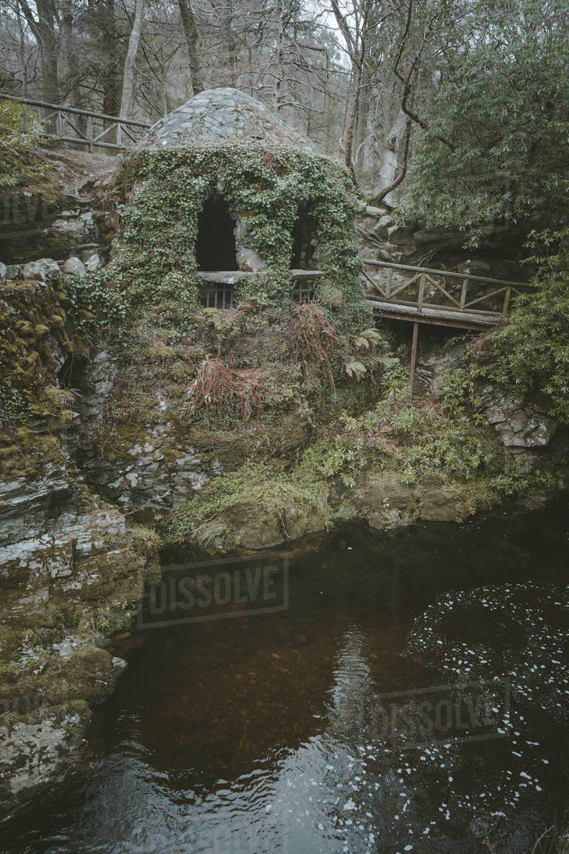 Small stone shelter covered with moss and ivy located on side of ...