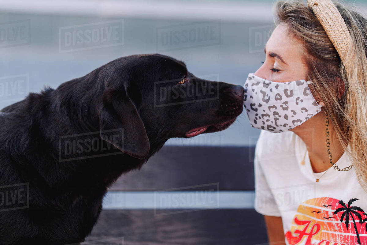 Side view of woman in protective mask tenderly touching noses with ...