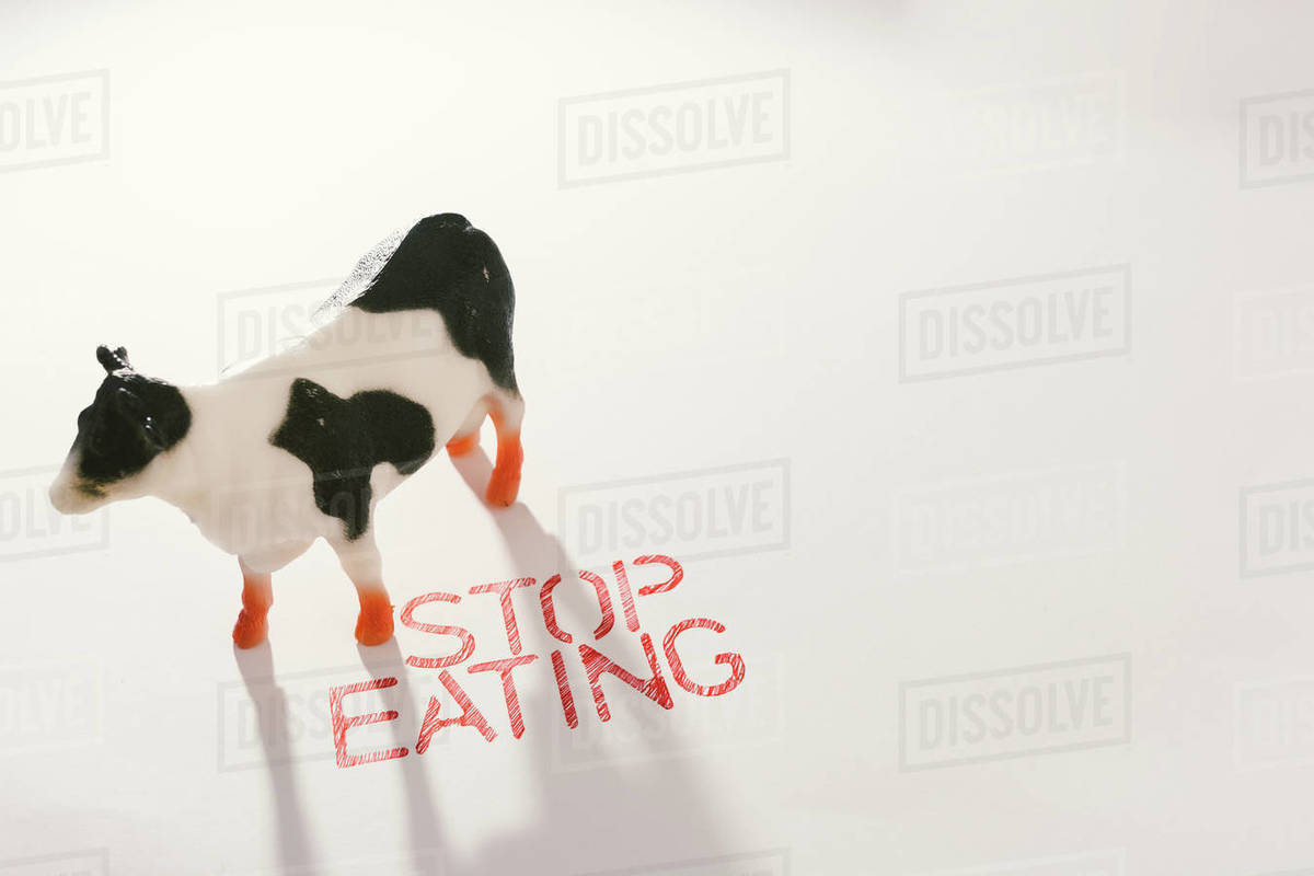 Slogan calling to stop eating animals - Royalty-free Stock Photo | Dissolve