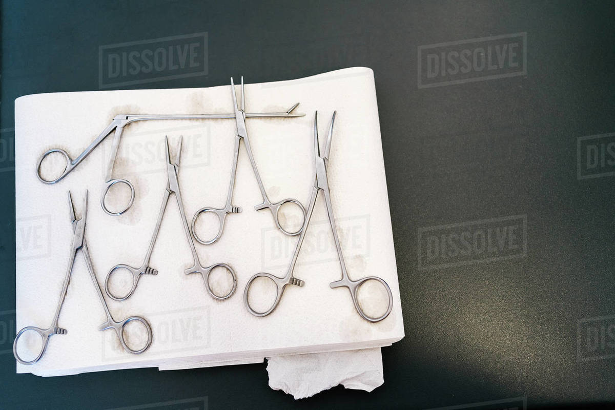 Top view of collection of clean surgical scissors placed on paper ...